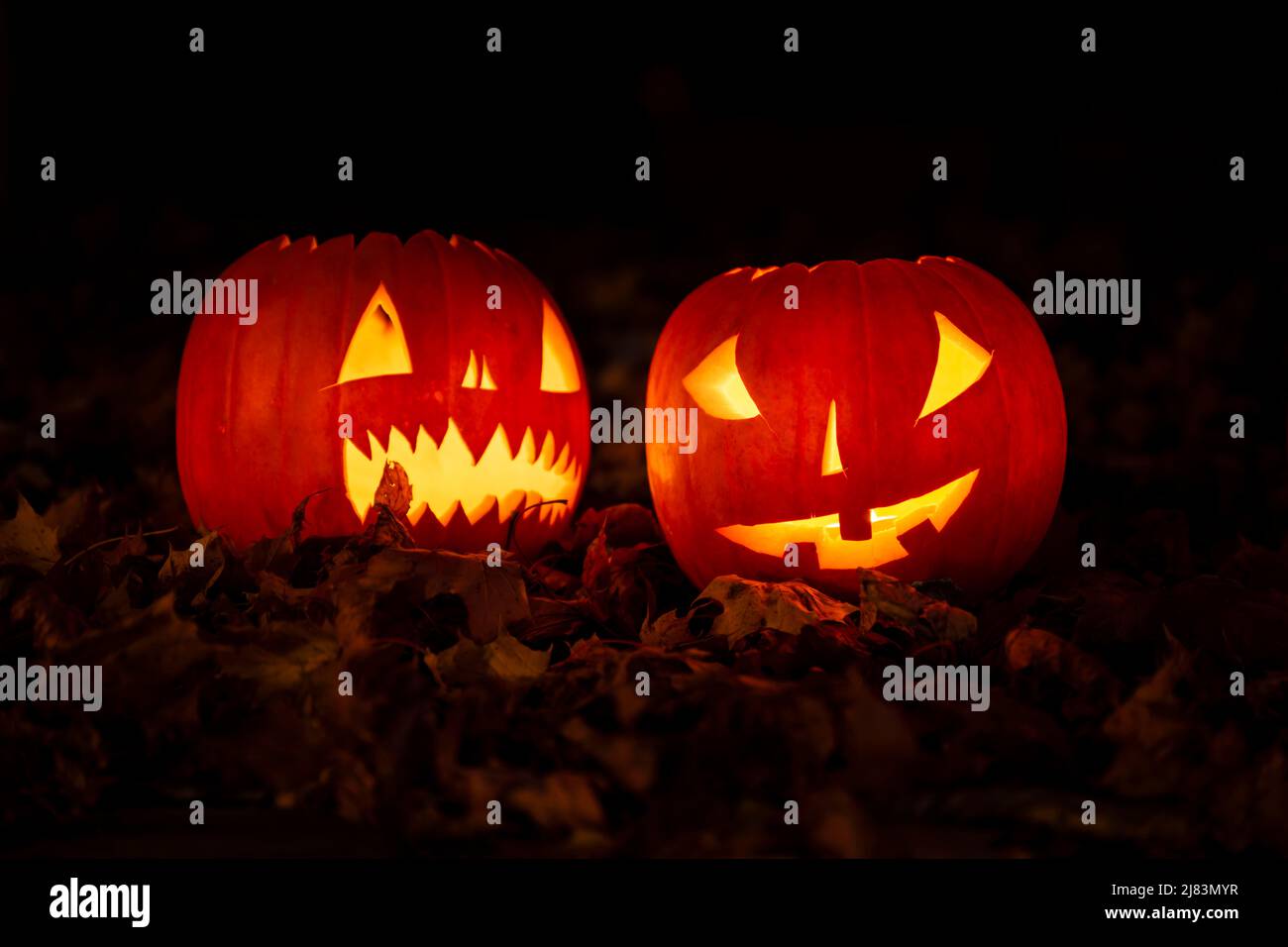 Glowing pumpkins at night, pumpkin face, carved pumpkins, grimace ...