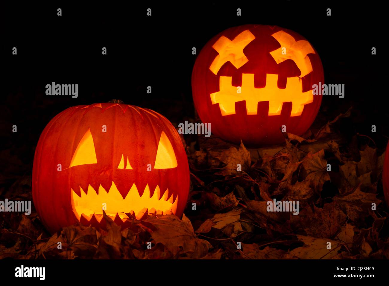 Glowing pumpkins at night, pumpkin face, carved pumpkins, grimace ...