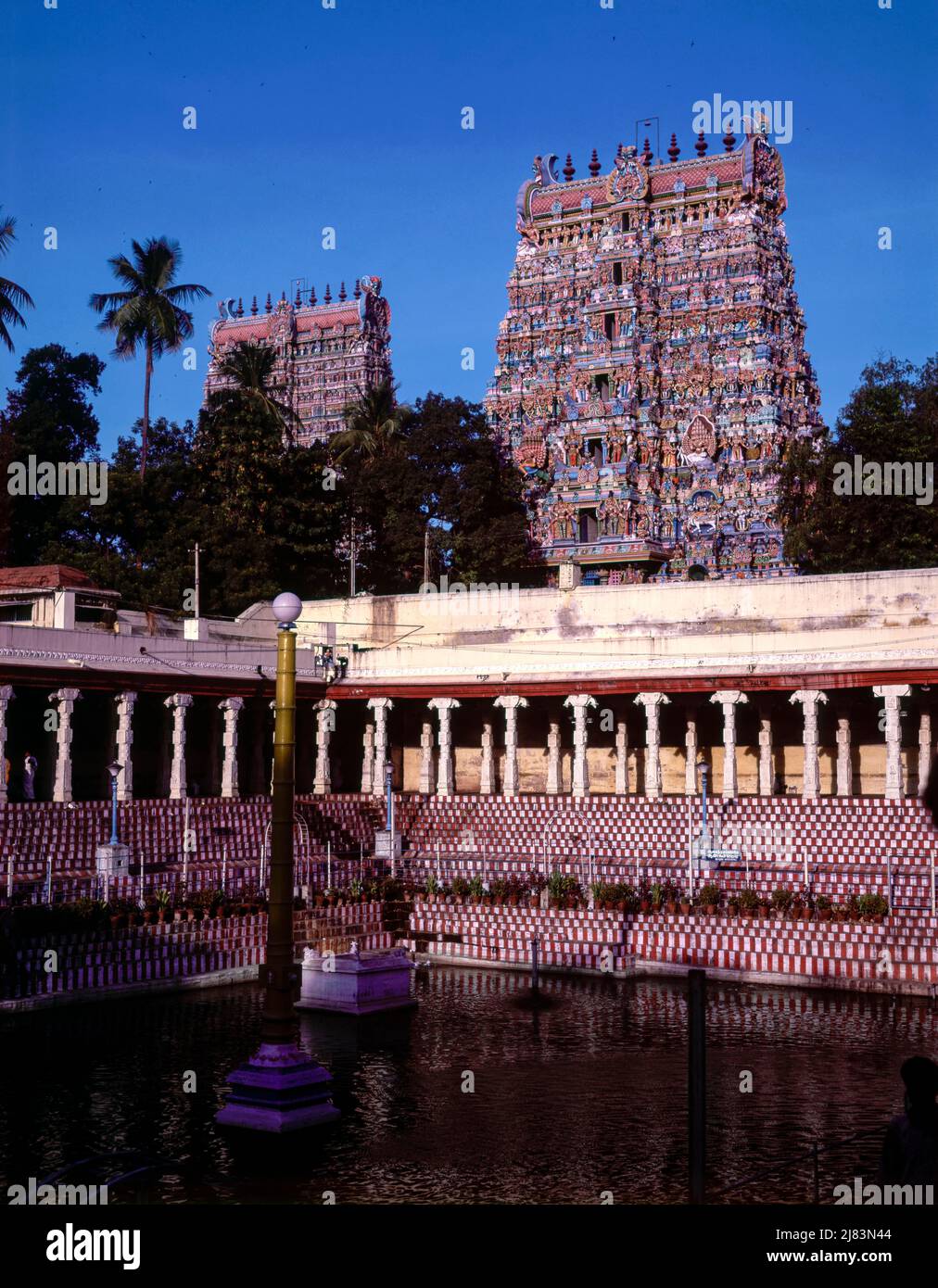 Meenakshi temple with golden lotus tank in Madurai, Tamil Nadu, India ...