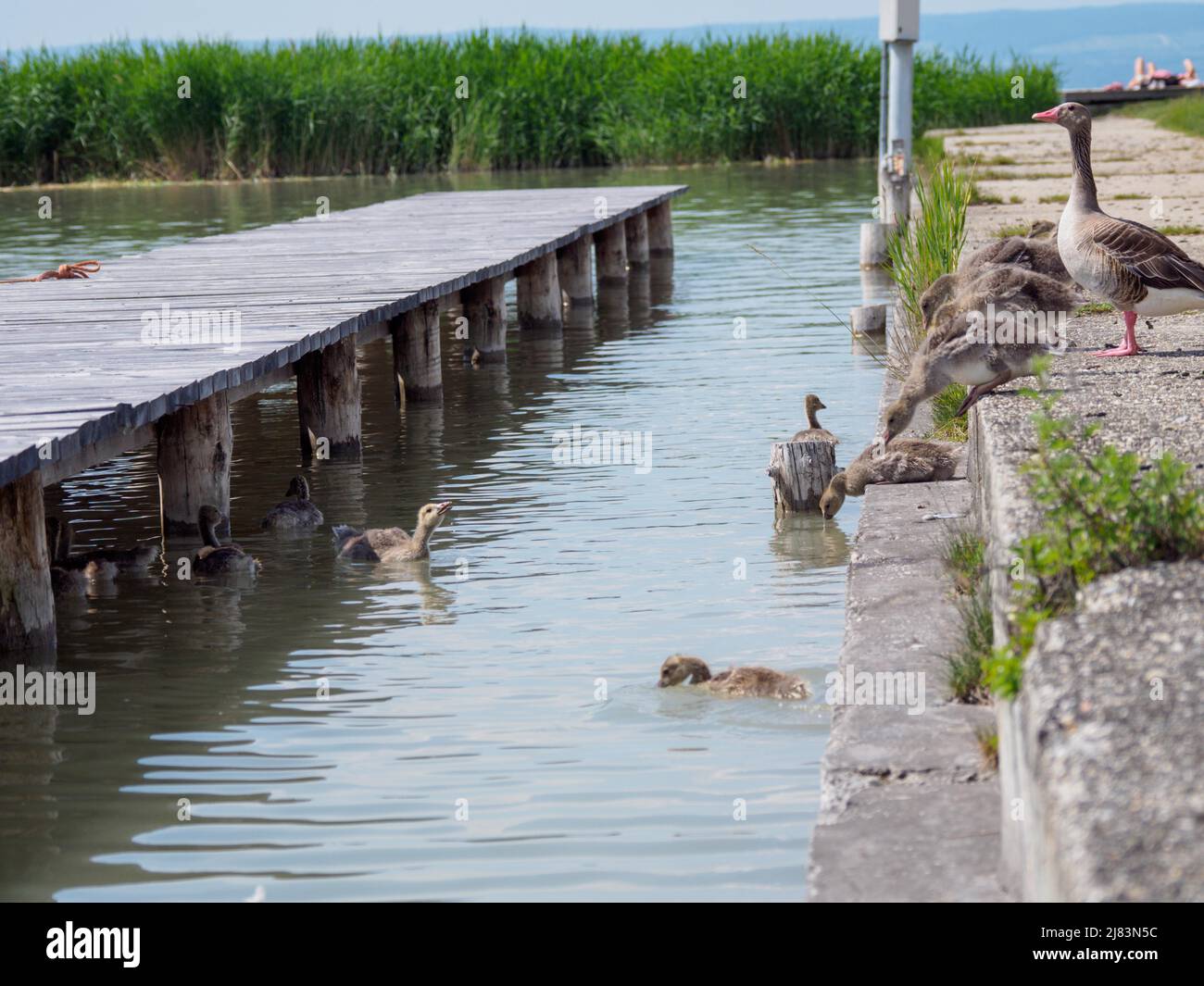 Vom wasser hi-res stock photography and images - Alamy