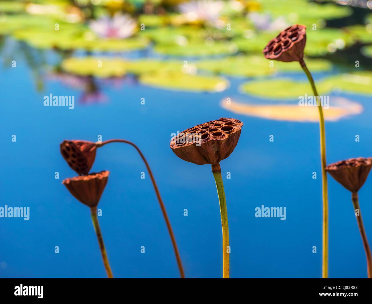 Evidence Based Art High Resolution Stock Photography and Images - Alamy