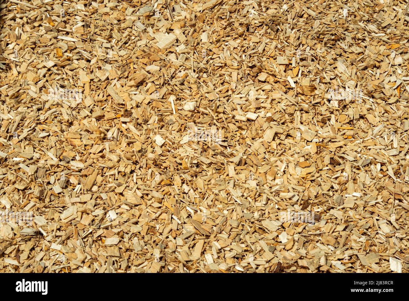 Wood chips texture, wooden biomass background. shavings for smoking or ...