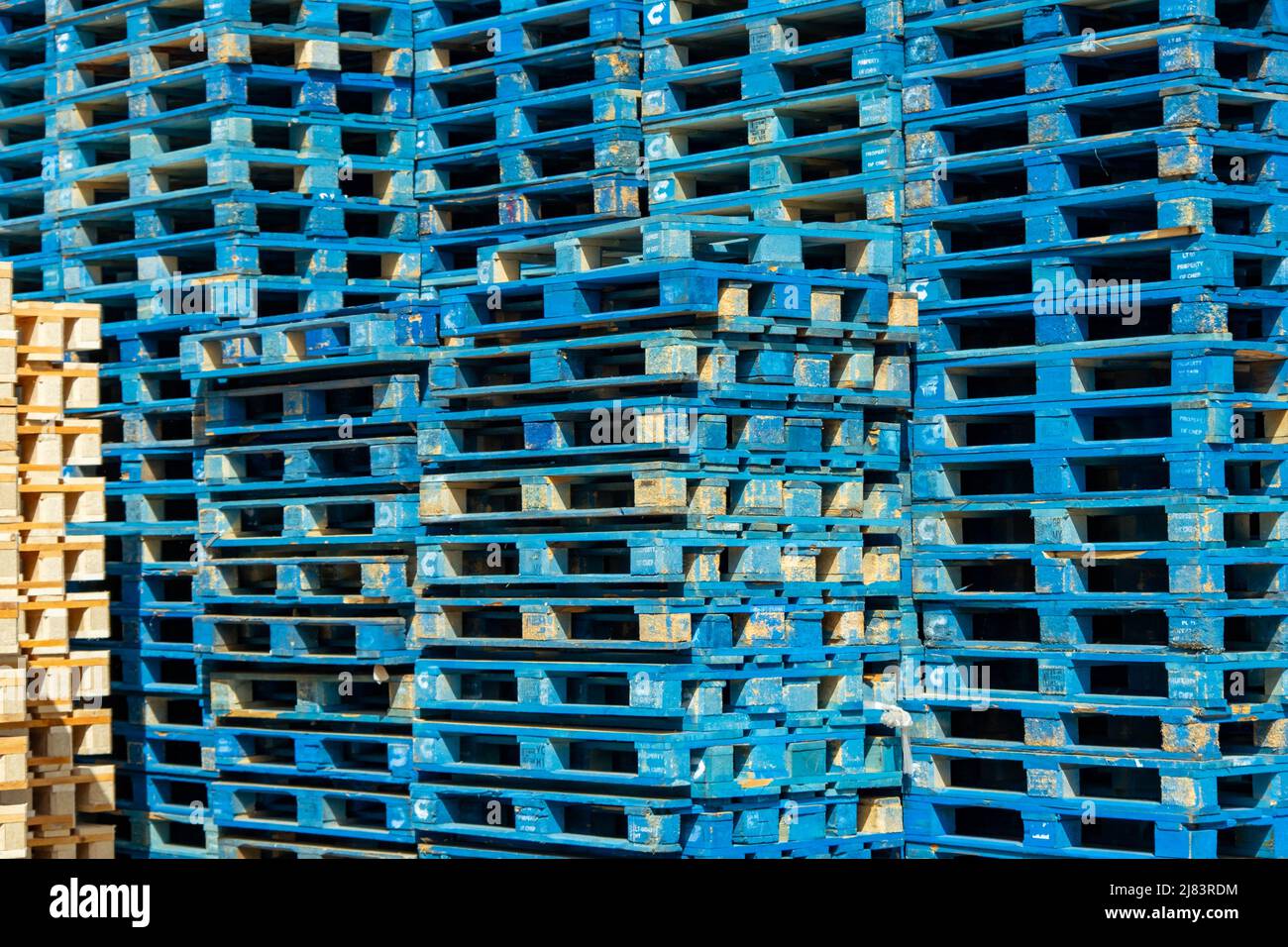 Lot of blue wooden empty pallet stacked at container port waiting for ...