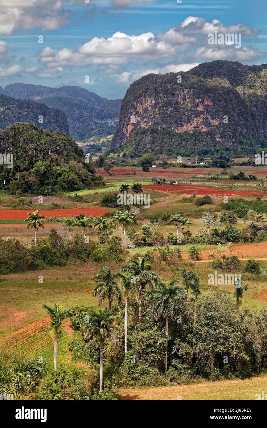 View from the Mirador Los Jazmines viewpoint of the landscape, Vinales ...