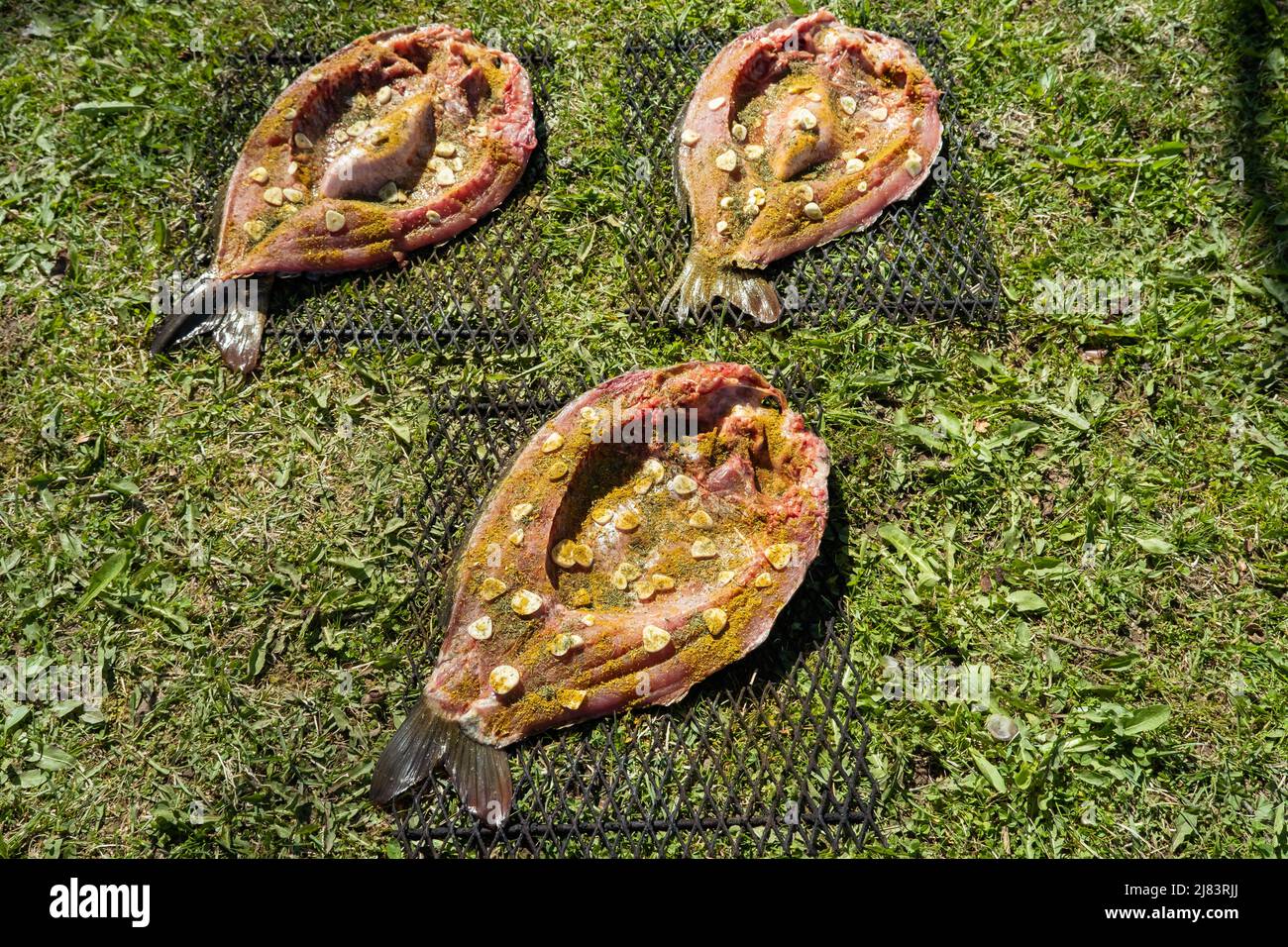 Fish, preparation of carp for smoking.Traditional latvian cuisine Stock ...