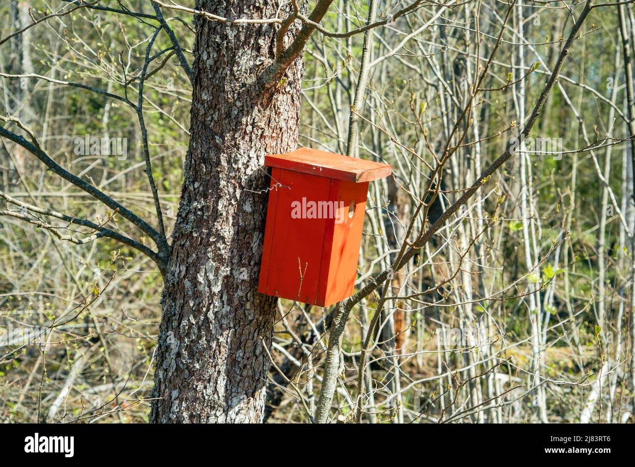 a beautiful red bird house in a tree in the park Stock Photo - Alamy