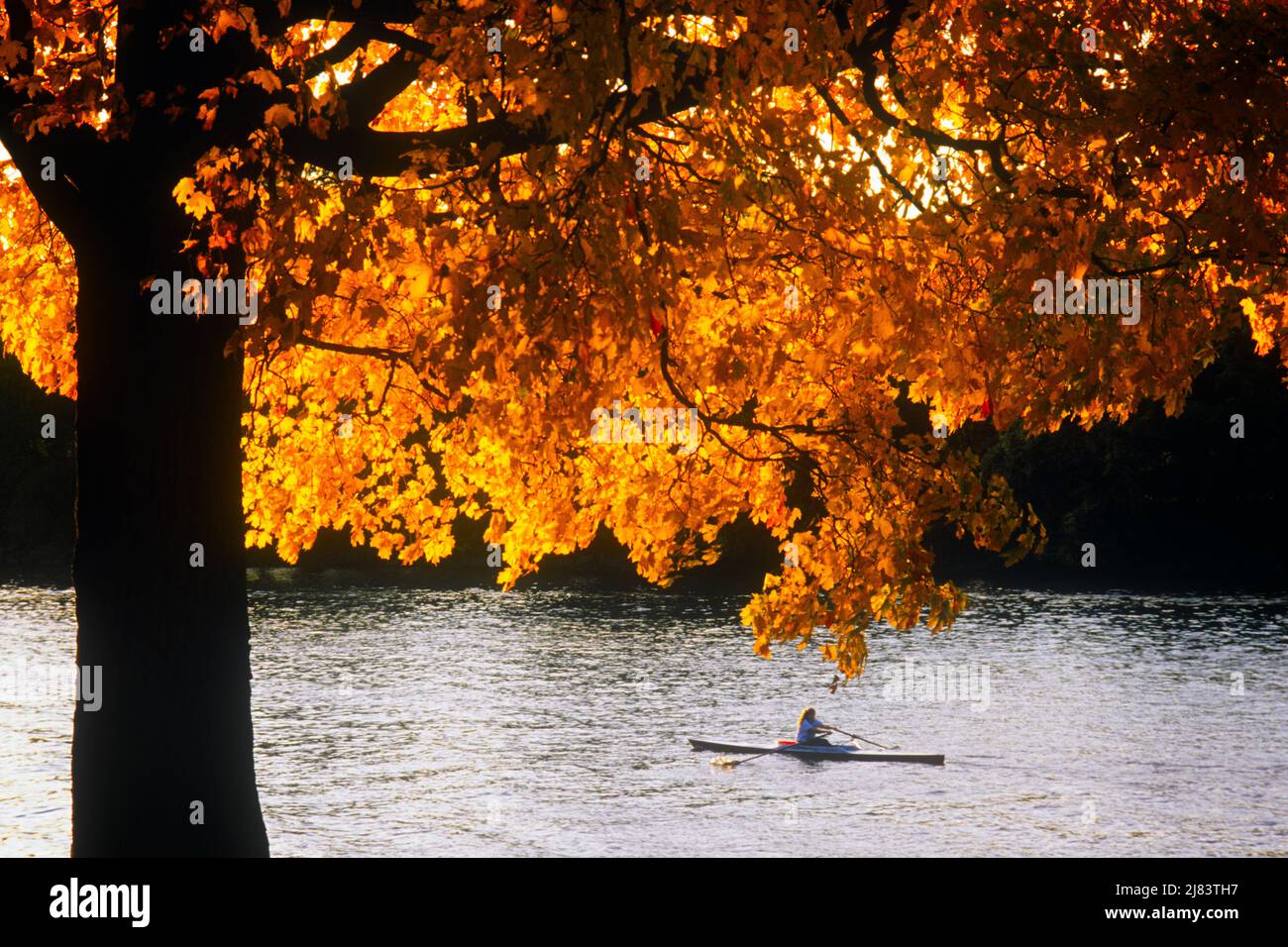 Rowing on the schuylkill river hi-res stock photography and images - Alamy