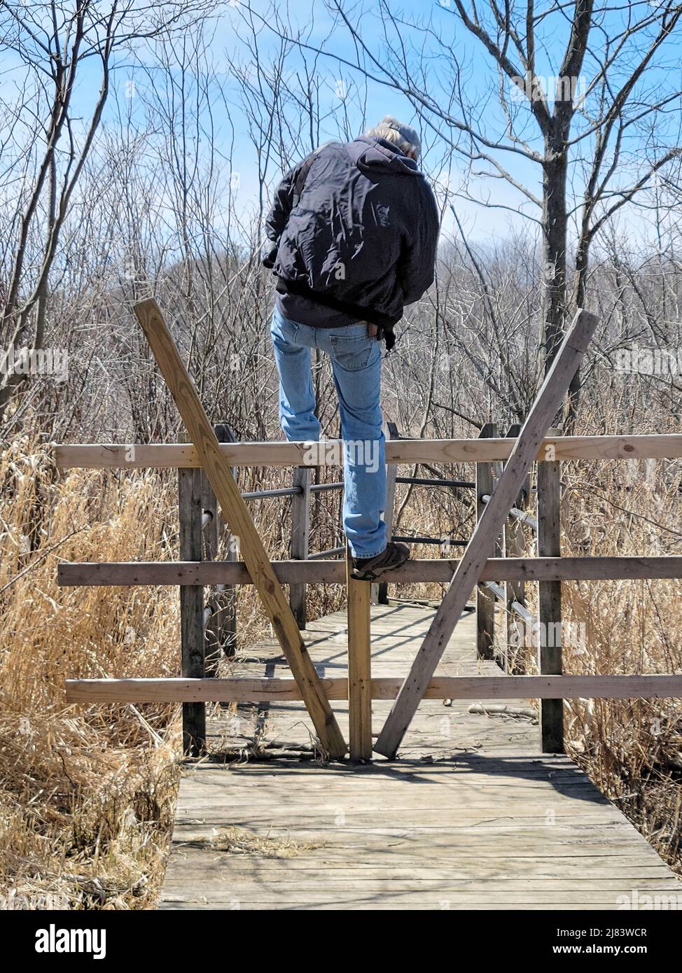 Adult Caucasian man climbing over wooden gate barrier Stock Photo - Alamy