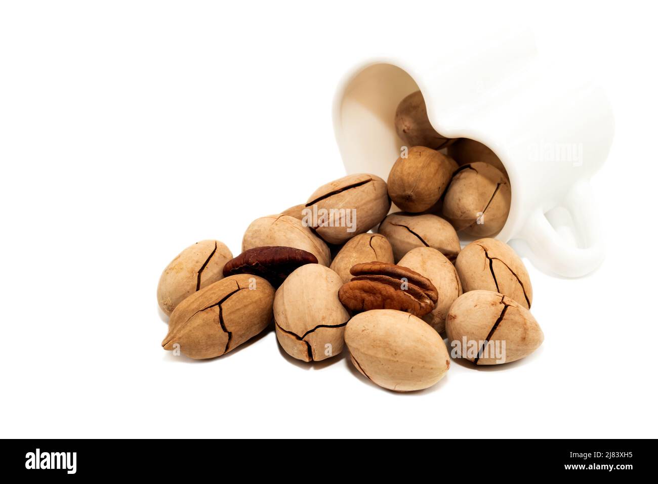 Pecan nut on a white background. Bunch of pecans isolate closeup Stock ...