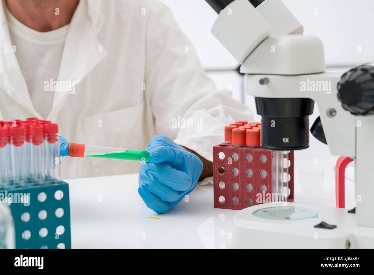Scientific experiment in the laboratory of the metabolism of living ...