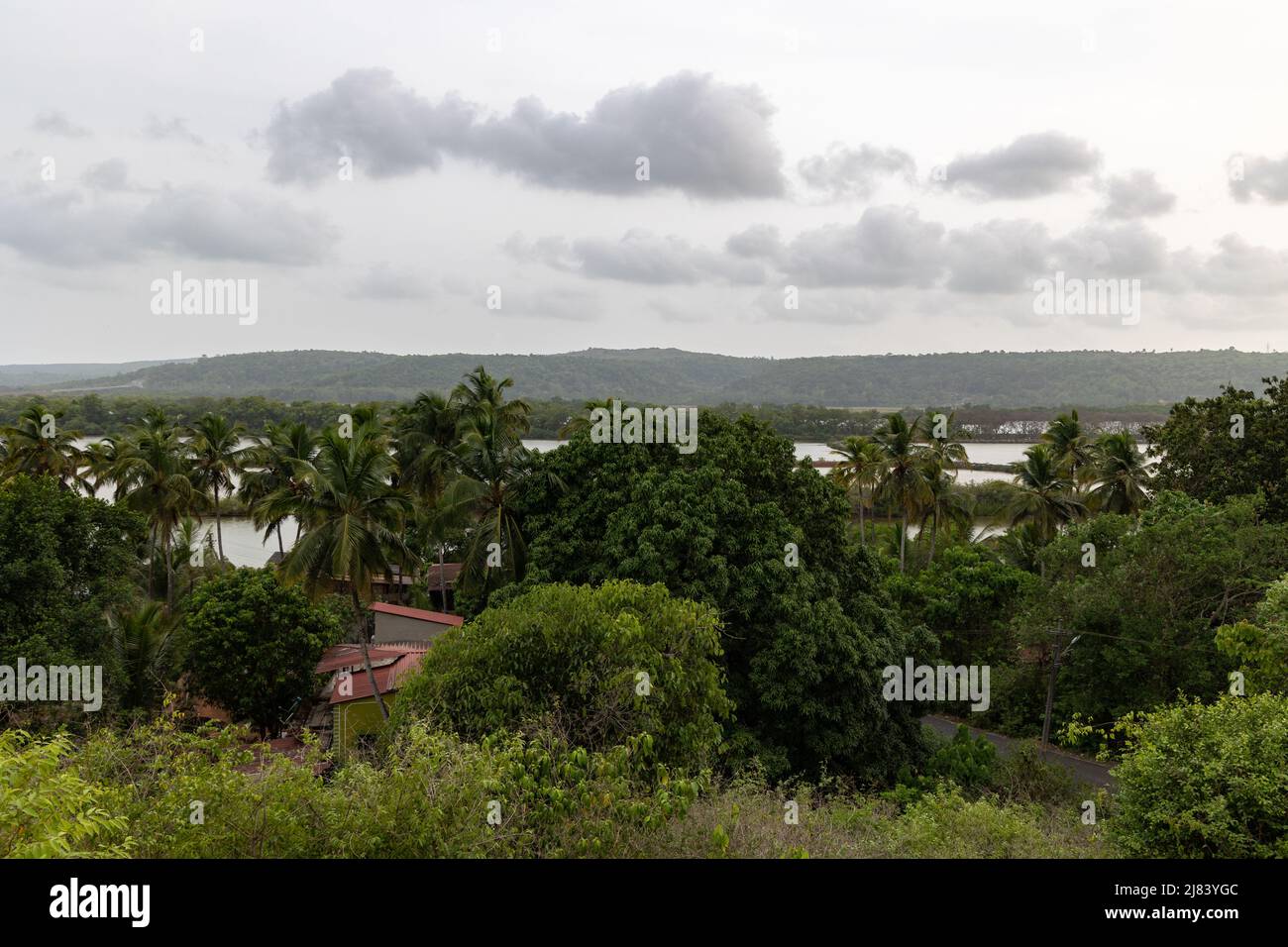 Beautiful view of Zuari River through coconut trees from a viewpoint at ...