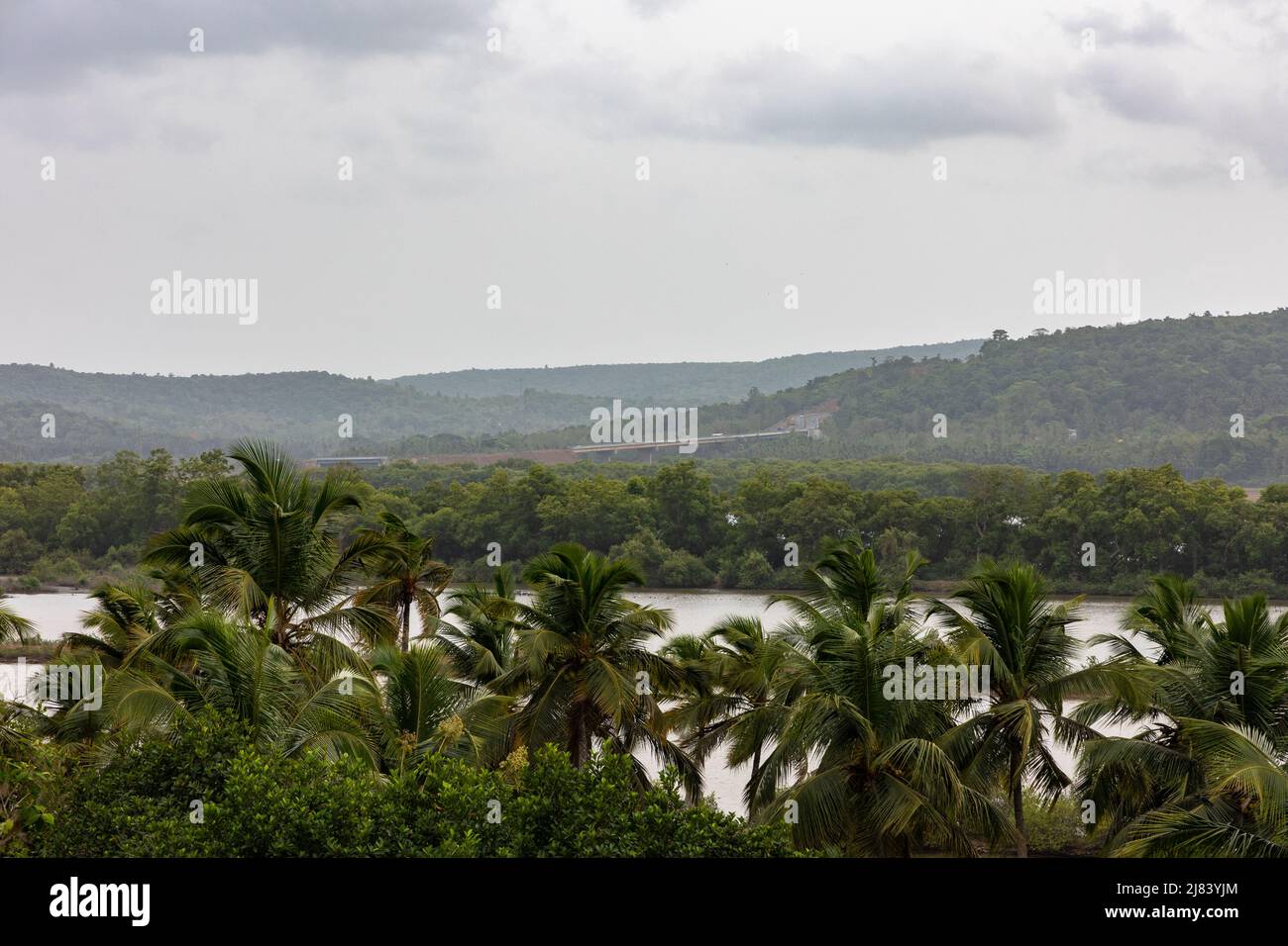 Beautiful view of Zuari River through coconut trees from a viewpoint at ...