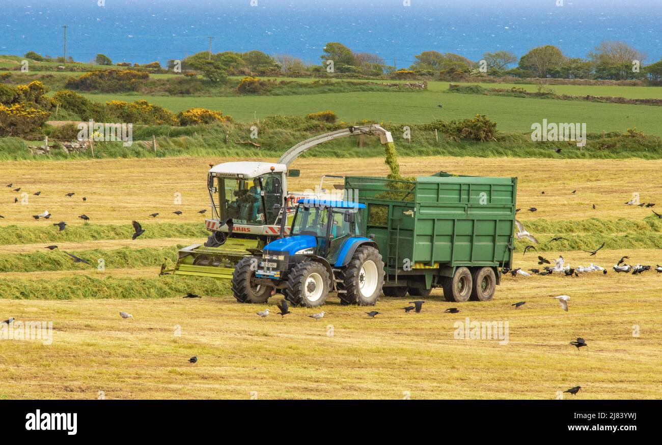 Butlerstown co cork hi-res stock photography and images - Alamy