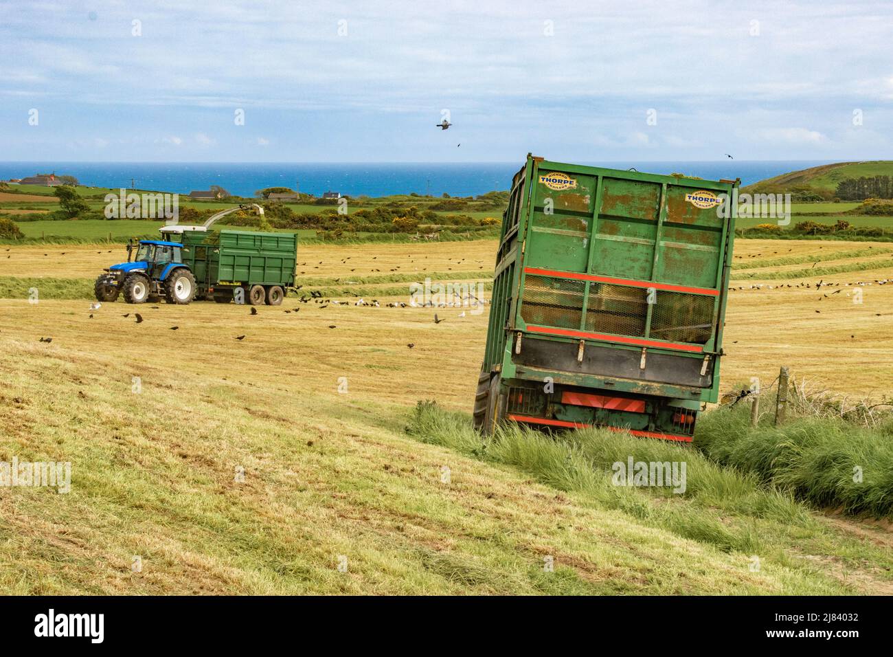 Butlerstown co cork hi-res stock photography and images - Alamy