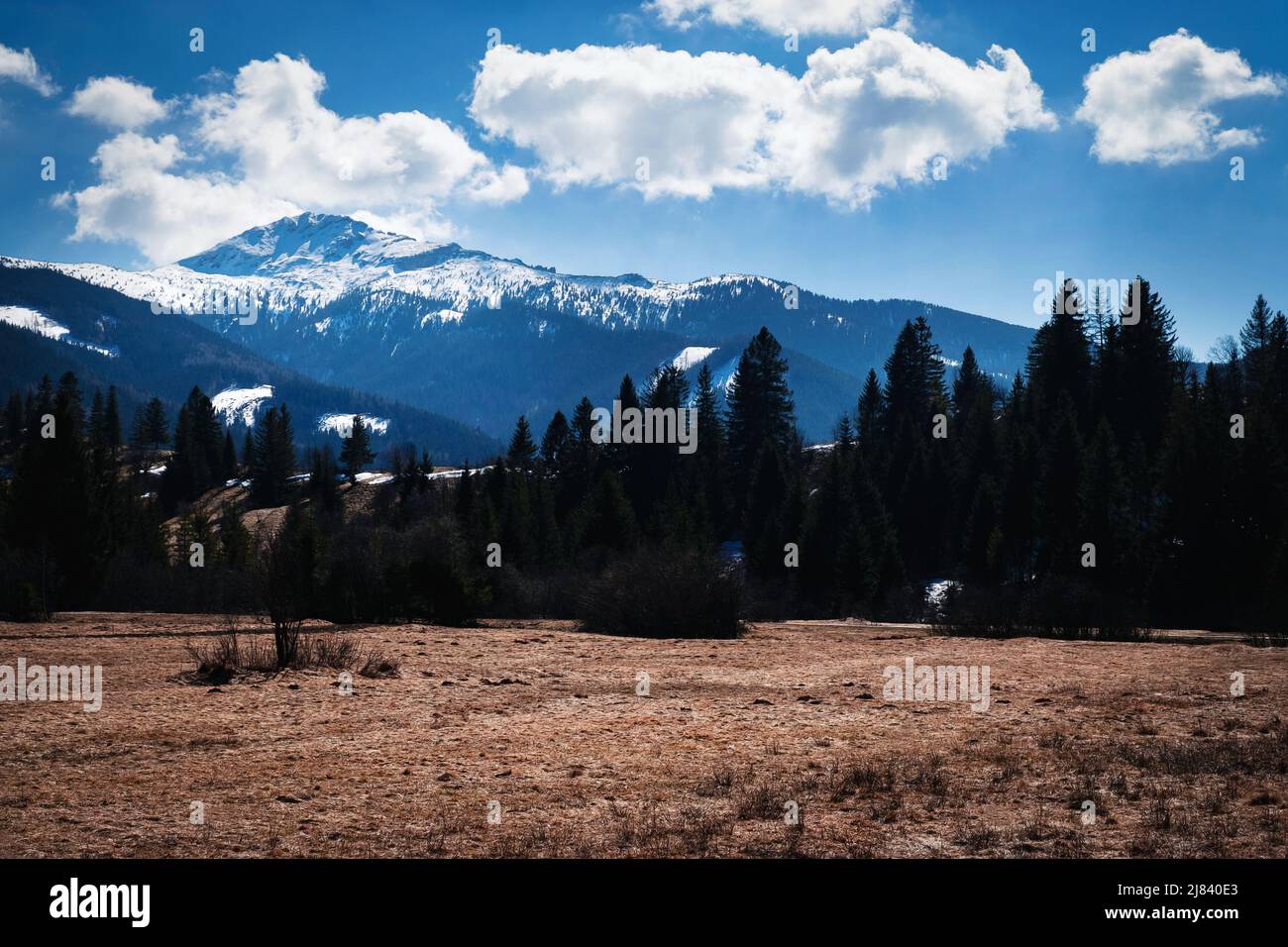 nature background slow arrival of spring in mountain country Stock ...