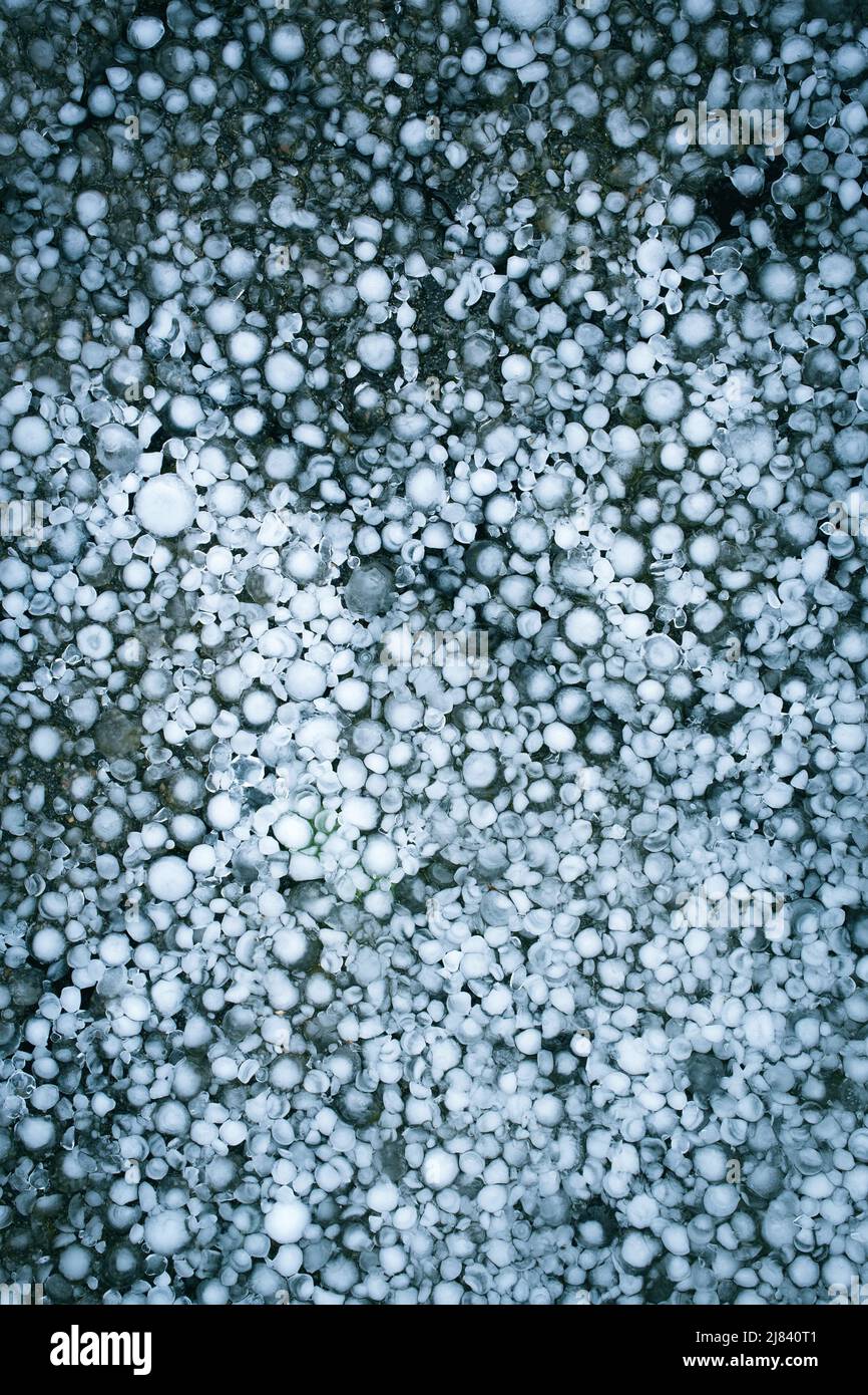 abstract background or texture ice hail after a storm Stock Photo - Alamy