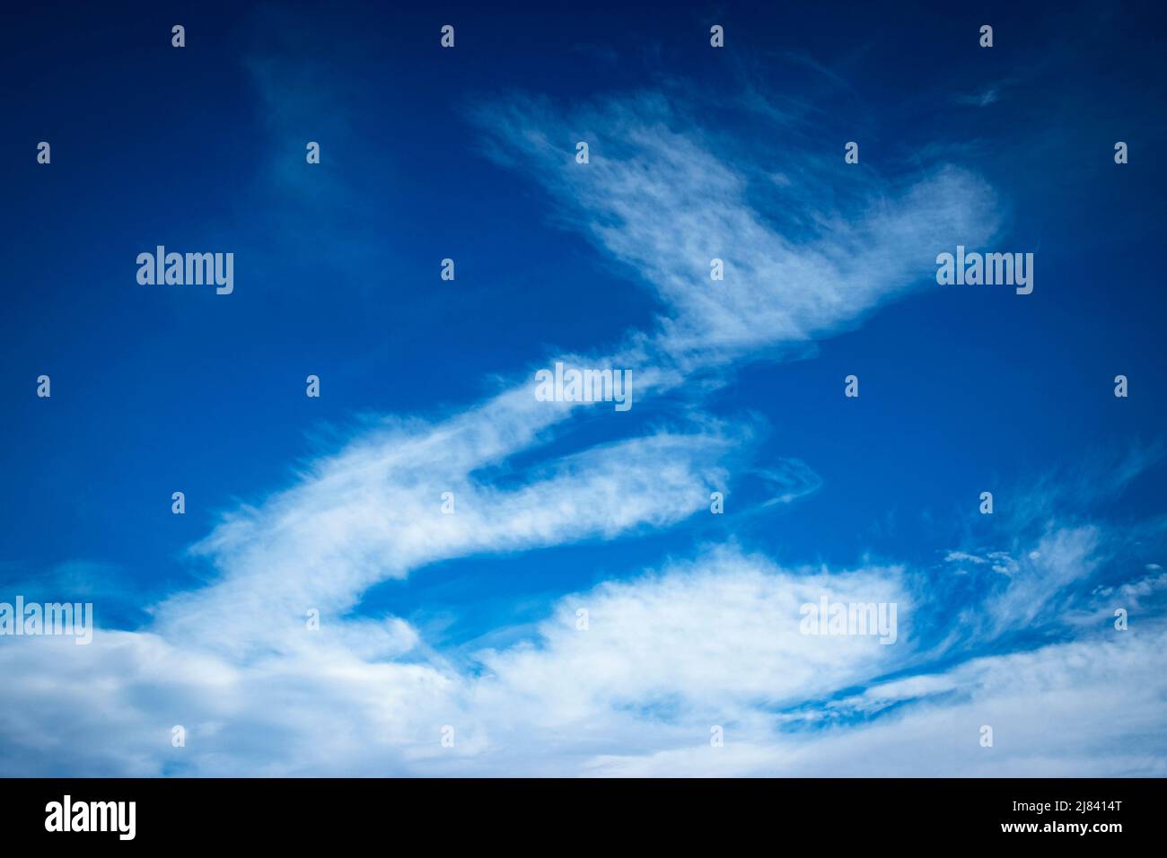 nature background or texture Wind blown abstract white cloud Stock ...