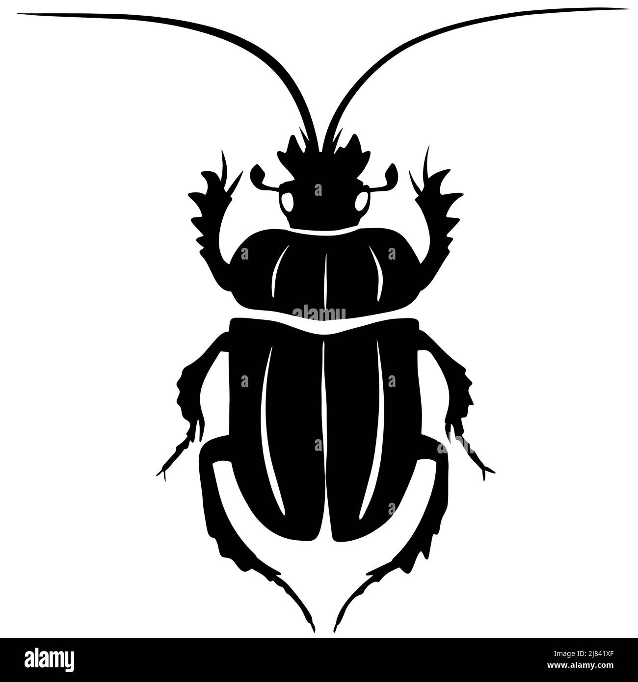 Black Beetle Insect Drawing
