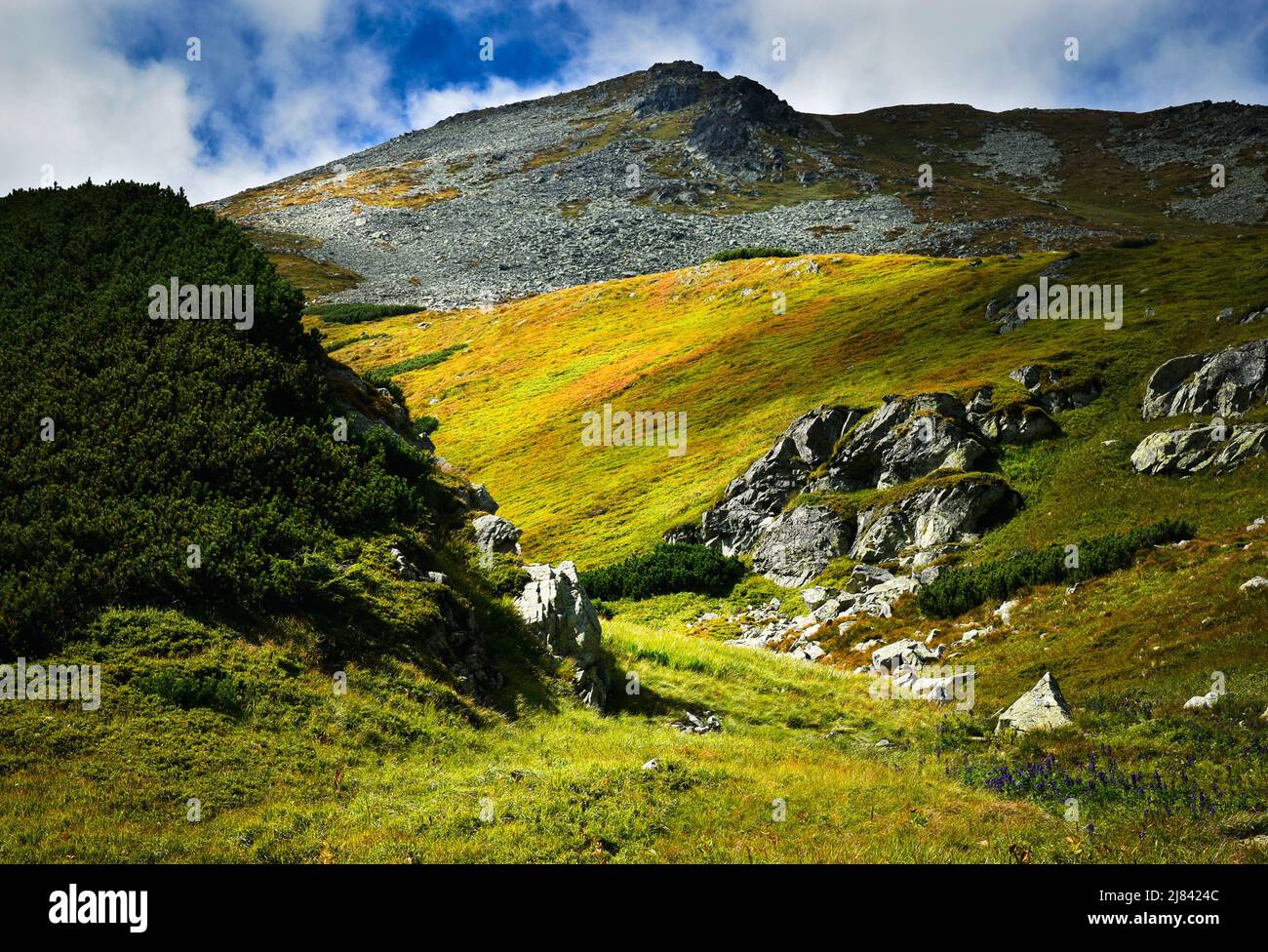 seasonal landscape background a desolate stone field high in the ...