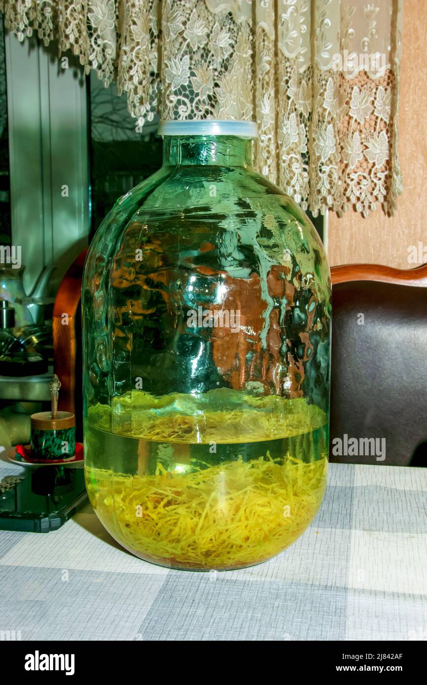 The process of preparing an alcoholic drink Limoncello at home. Jar ...