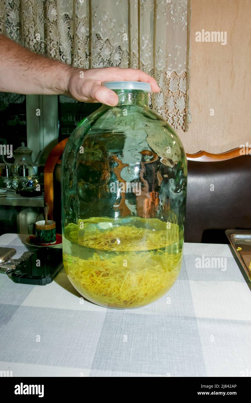 The process of preparing an alcoholic drink Limoncello at home. Men's ...