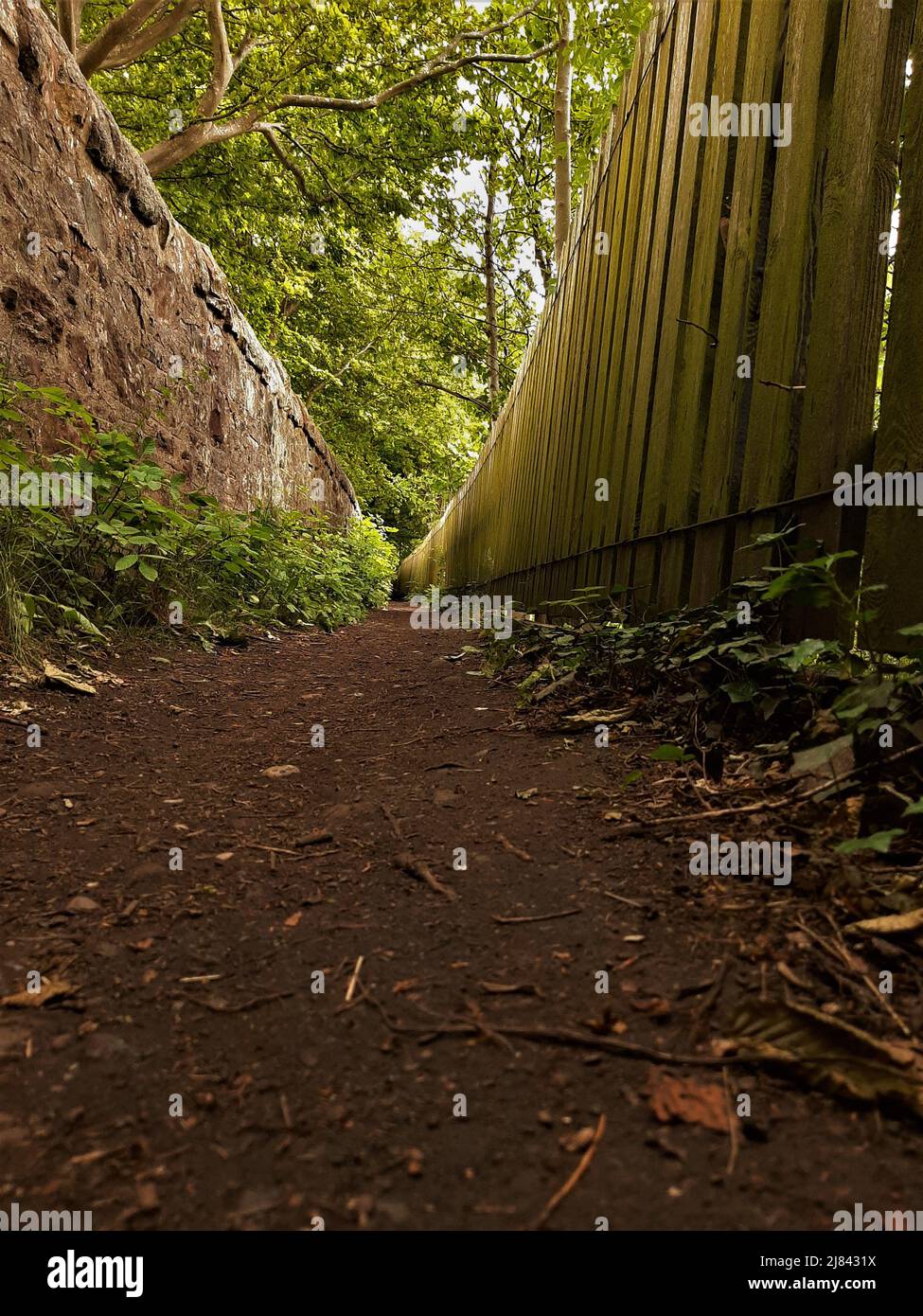 Low angle of dirt path between a stone wall and a wooden fence escaping ...