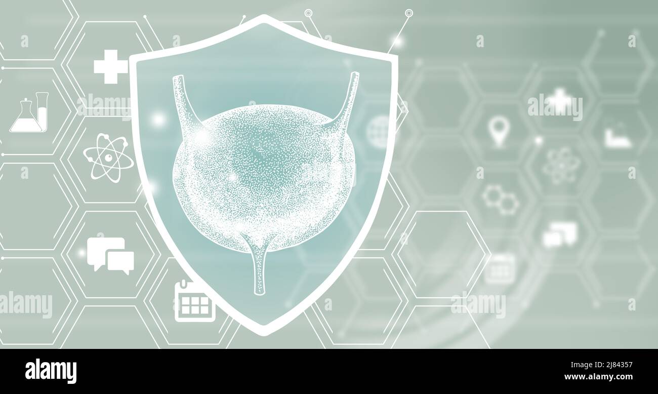 Human internal organ bladder emergency help and protection from urinary ...