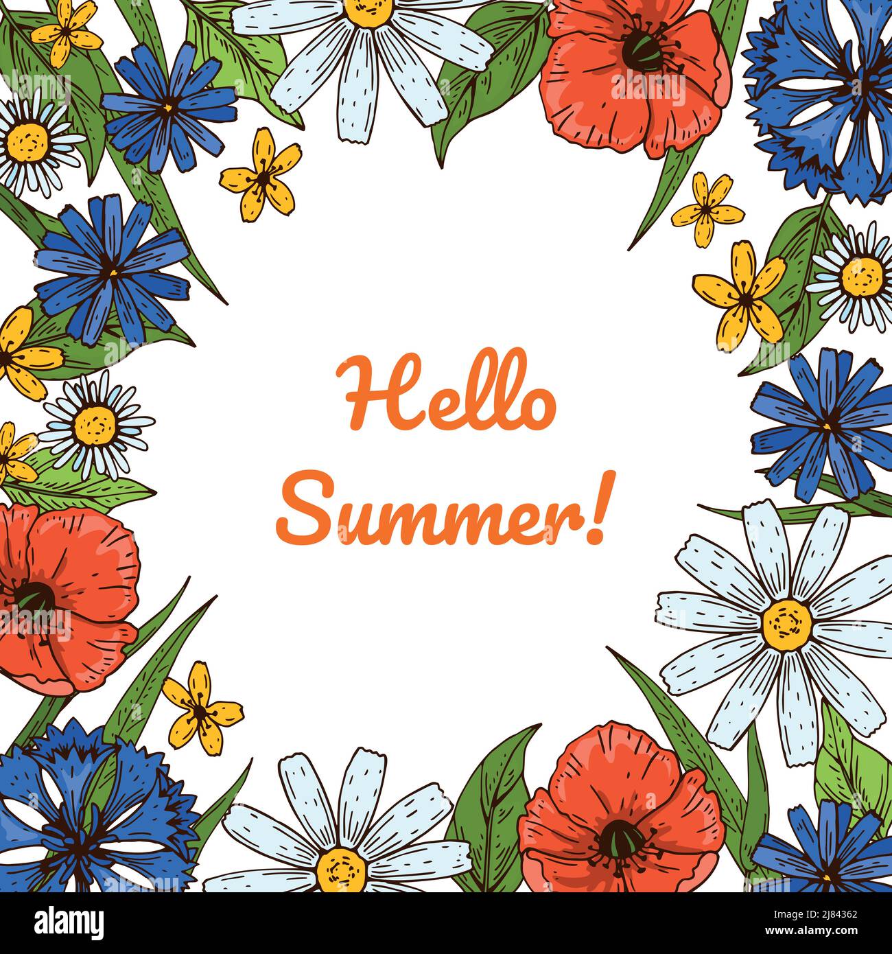 Wild flowers botany frame with poppy and chamomile. Colorful hand drawn ...