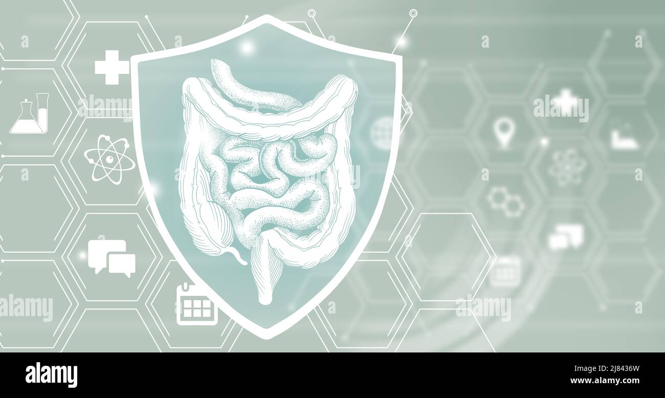 Human internal organ Intestine emergency help and protection from n ...