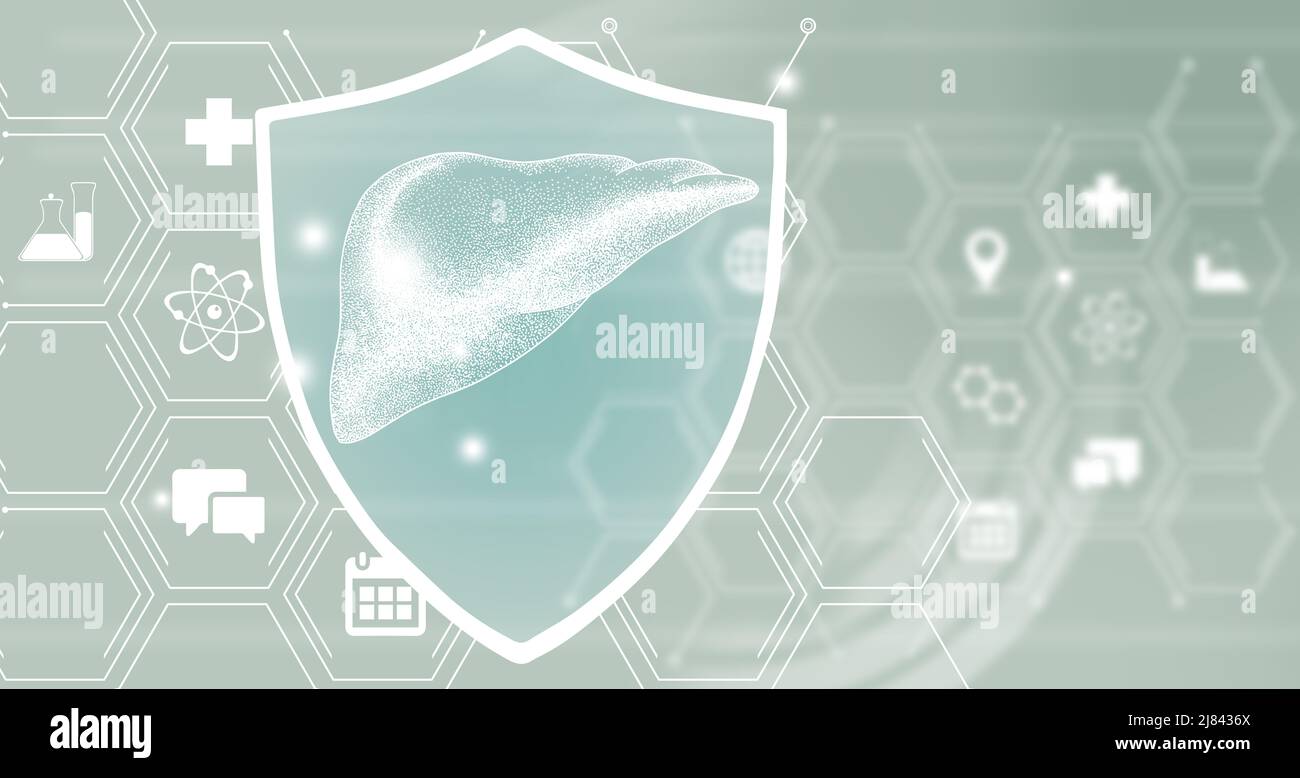 Human internal organ Liver emergency help and protection from n ...