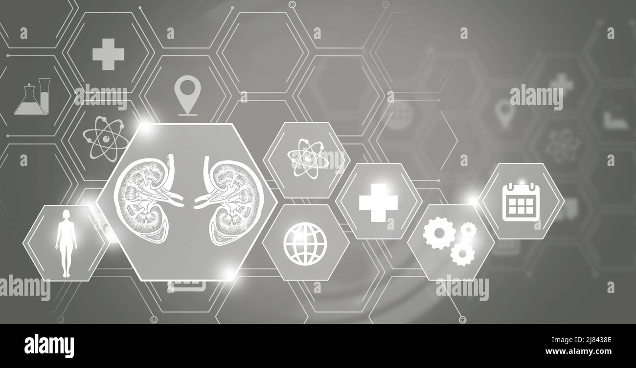 Human internal organ kidneys emergency help and protection from urinary ...