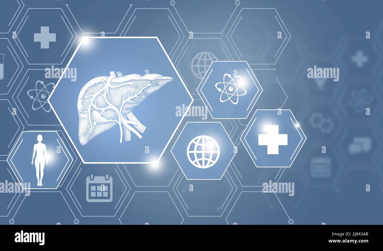 Human internal organ Liver emergency help and protection from diseases ...