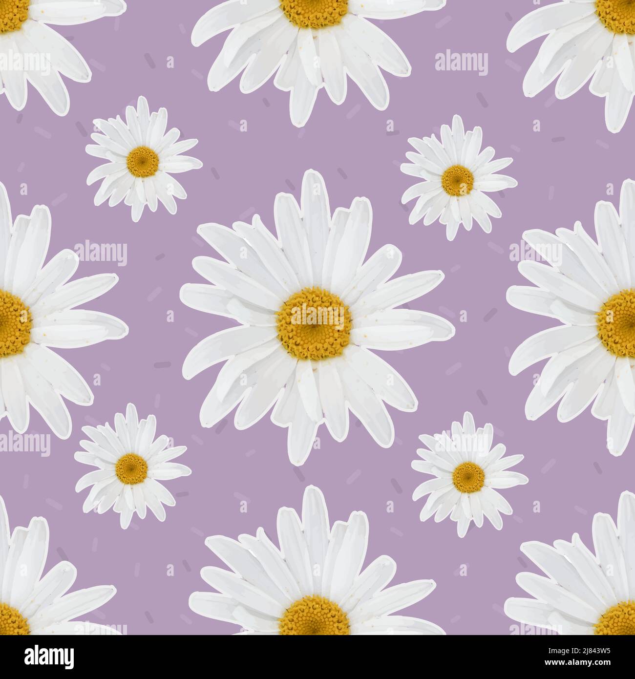Daisy seamless pattern on purple background. Stylish template for ...