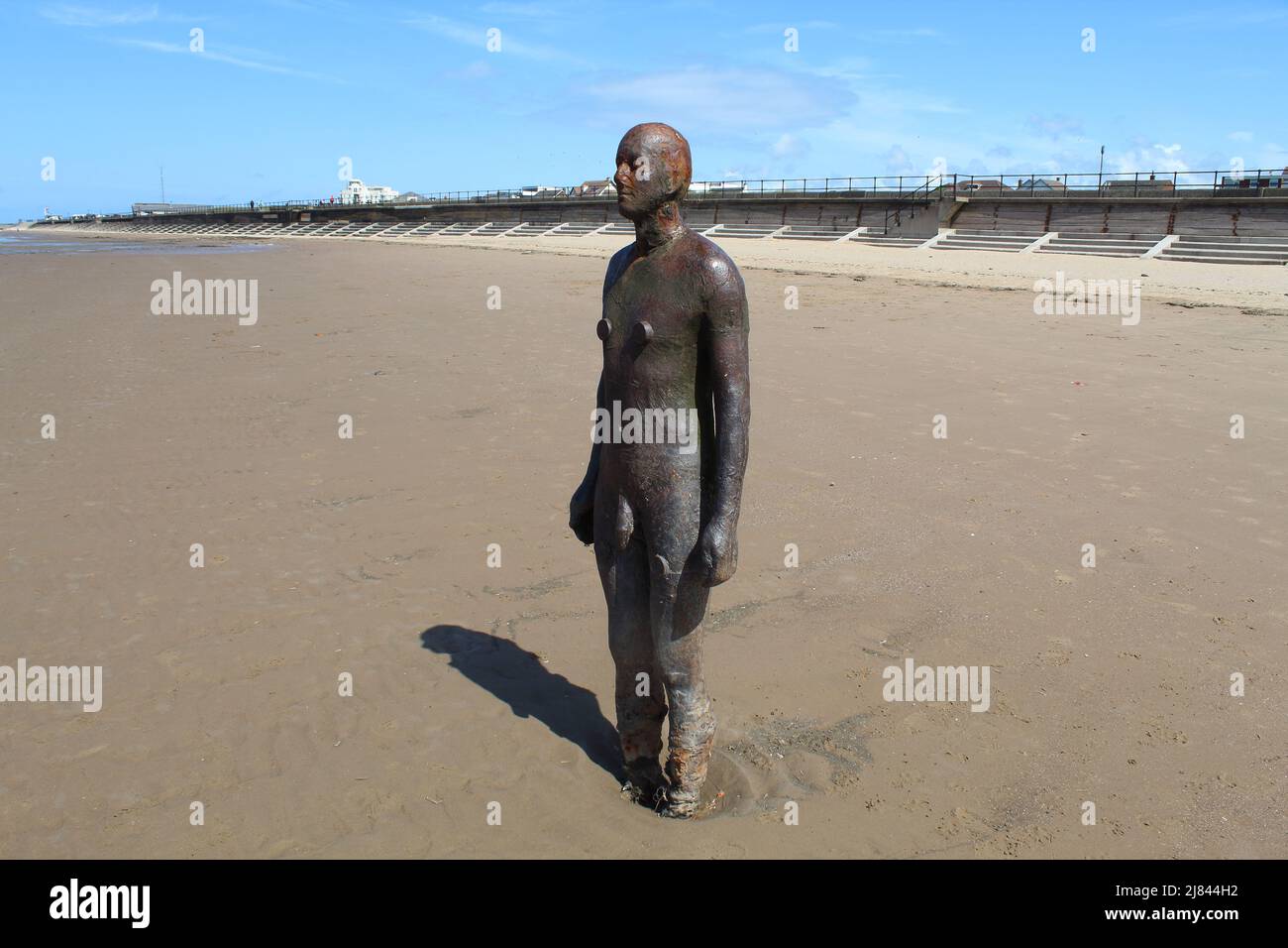 One of the famous Iron Men at Crosby Beach in Liverpool, United Kingdom ...