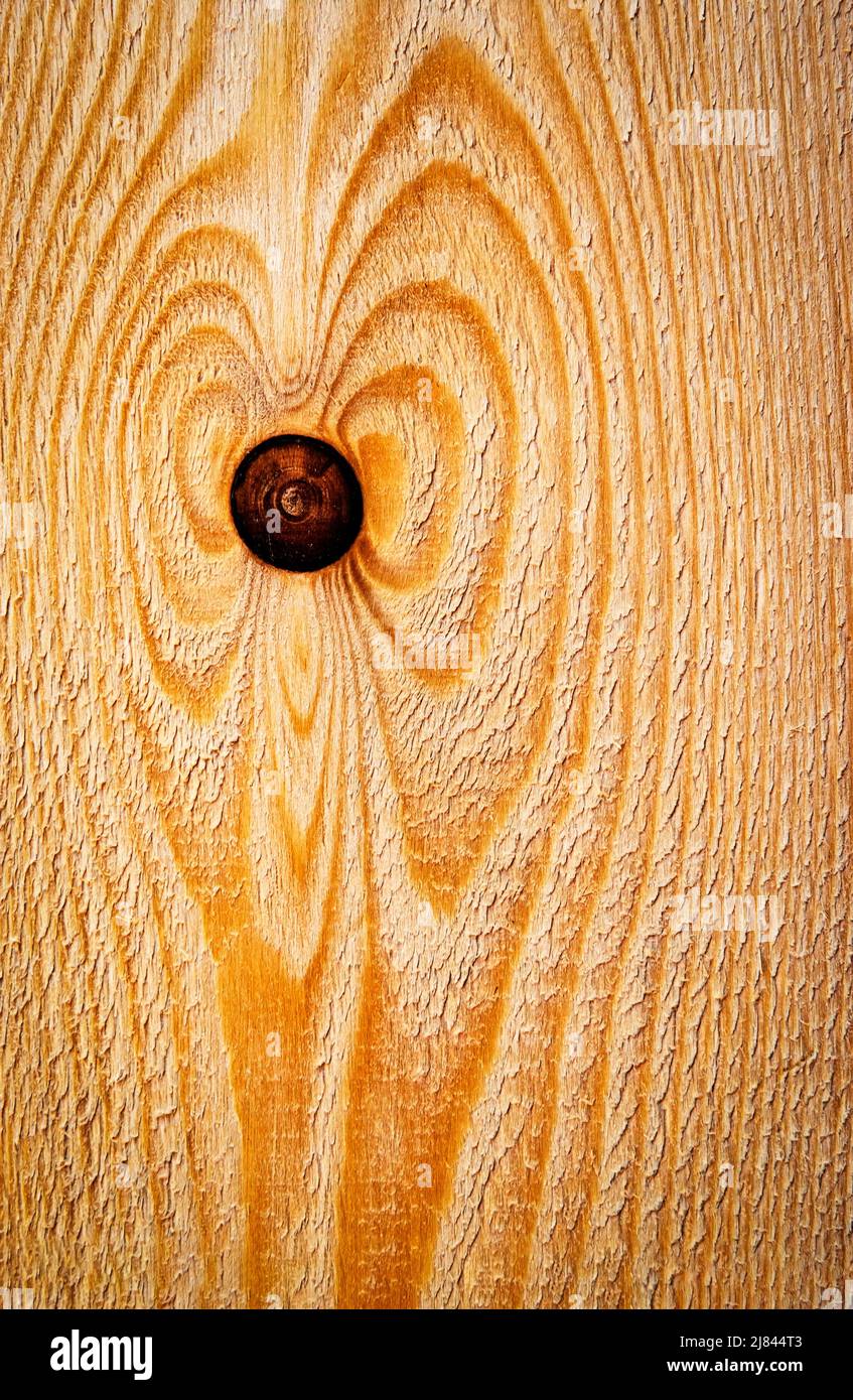 Tree log figure hi-res stock photography and images - Alamy