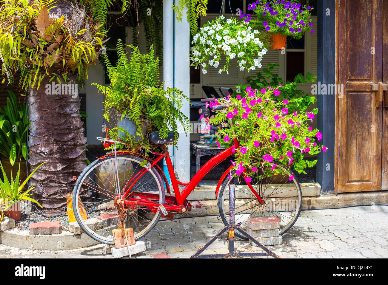 Bicycle with flower pots as a decoration for the exterior of the ...