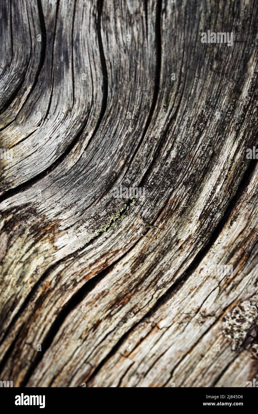 background or texture abstract wavy wood detail Stock Photo - Alamy