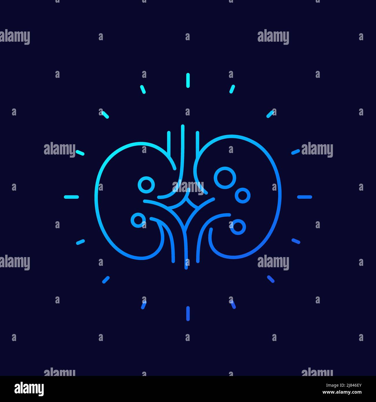 kidney stones, renal pain line icon Stock Vector Image & Art - Alamy