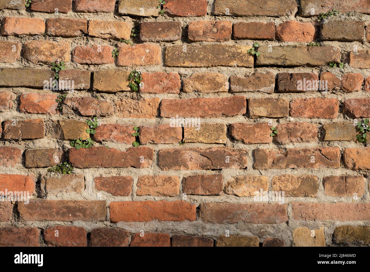 The very old red brick wall background Stock Photo - Alamy