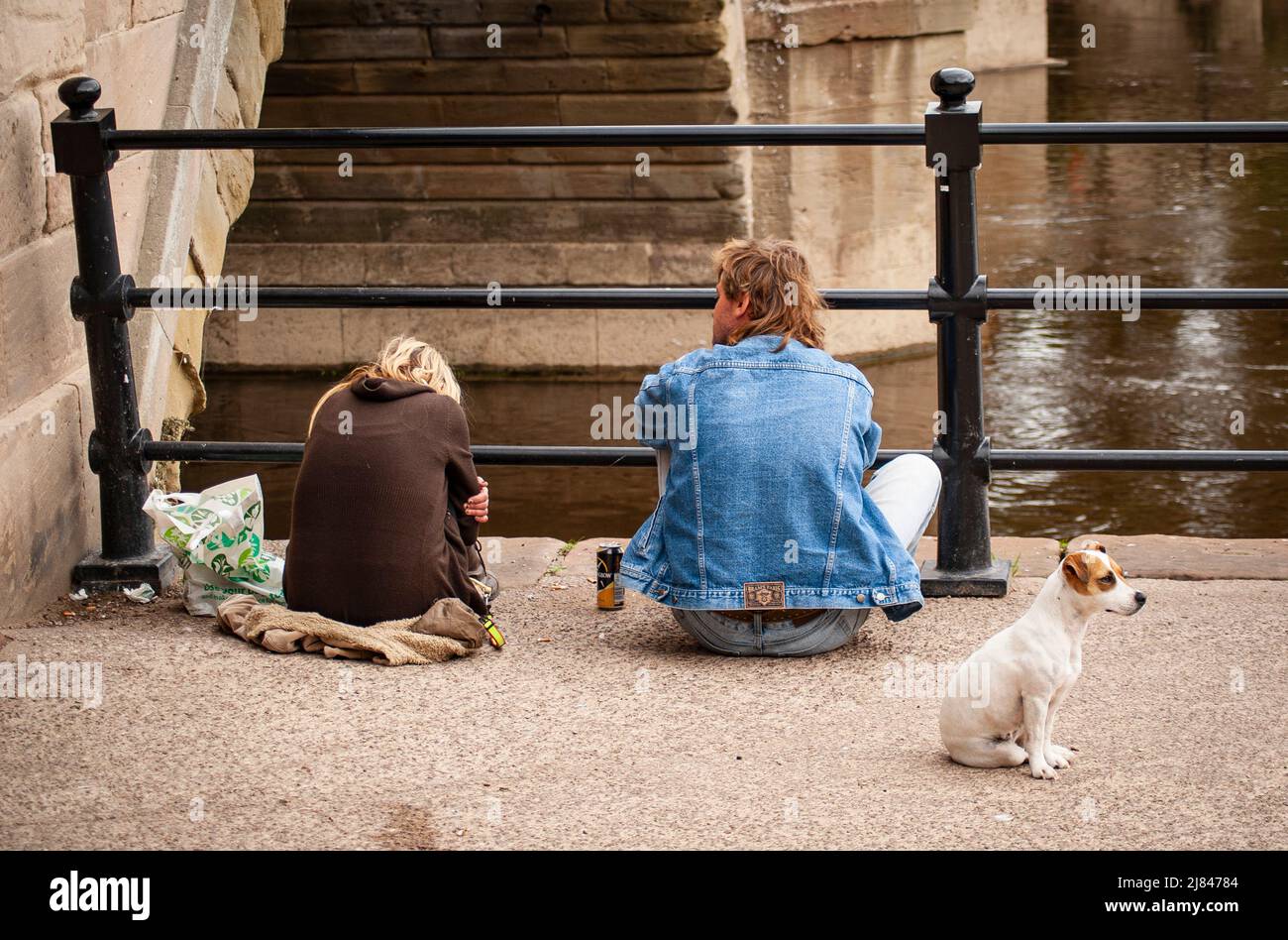 Homeless woman dog hi-res stock photography and images - Alamy