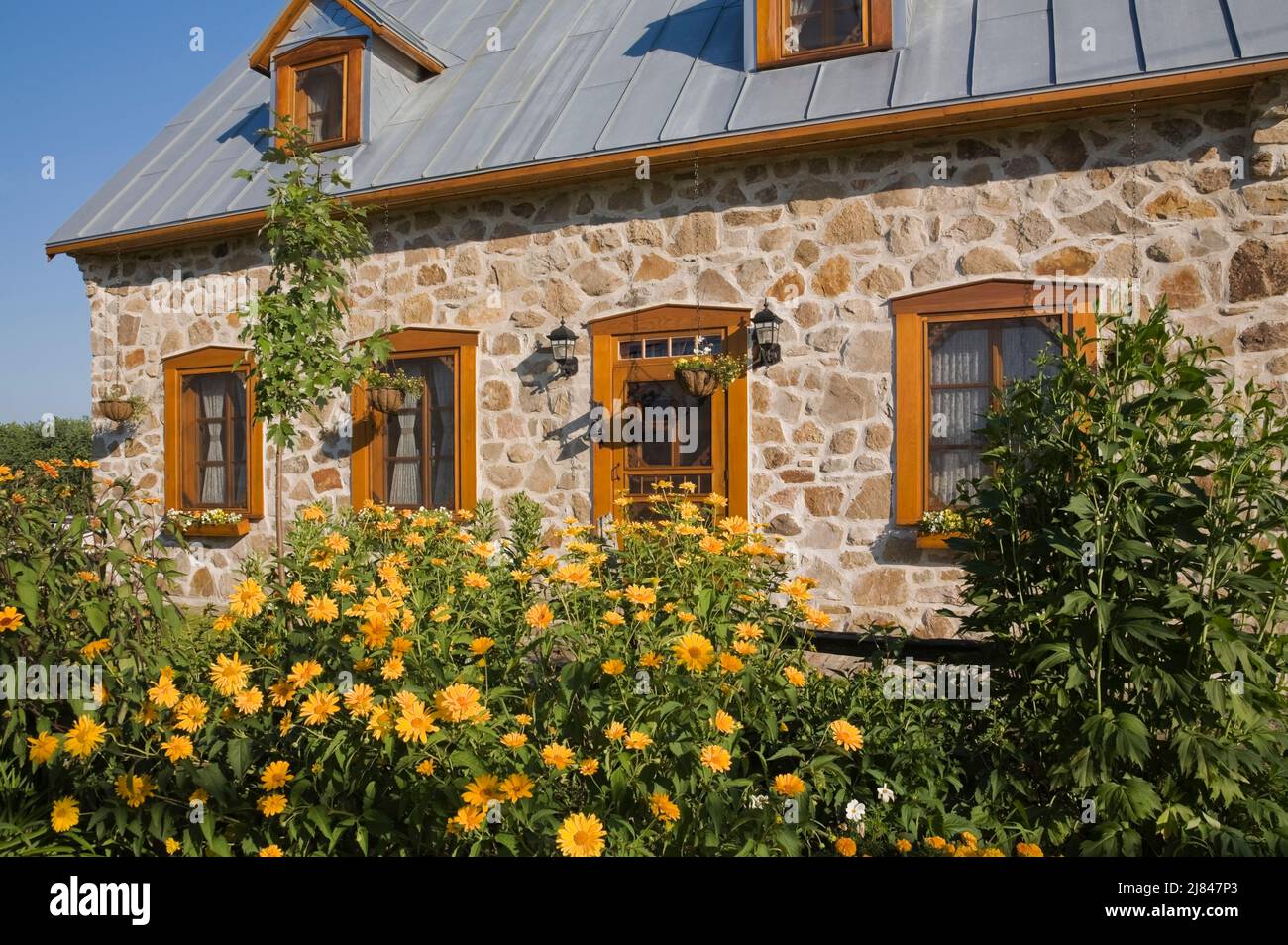 Replica of old 1700s French regime cottage style fieldstone home with ...