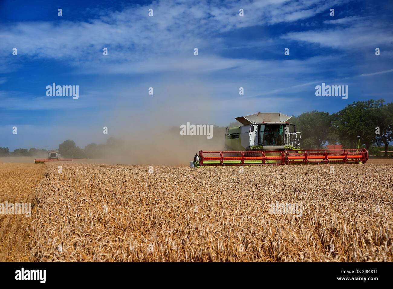 Harvester work on barley field hi-res stock photography and images - Alamy