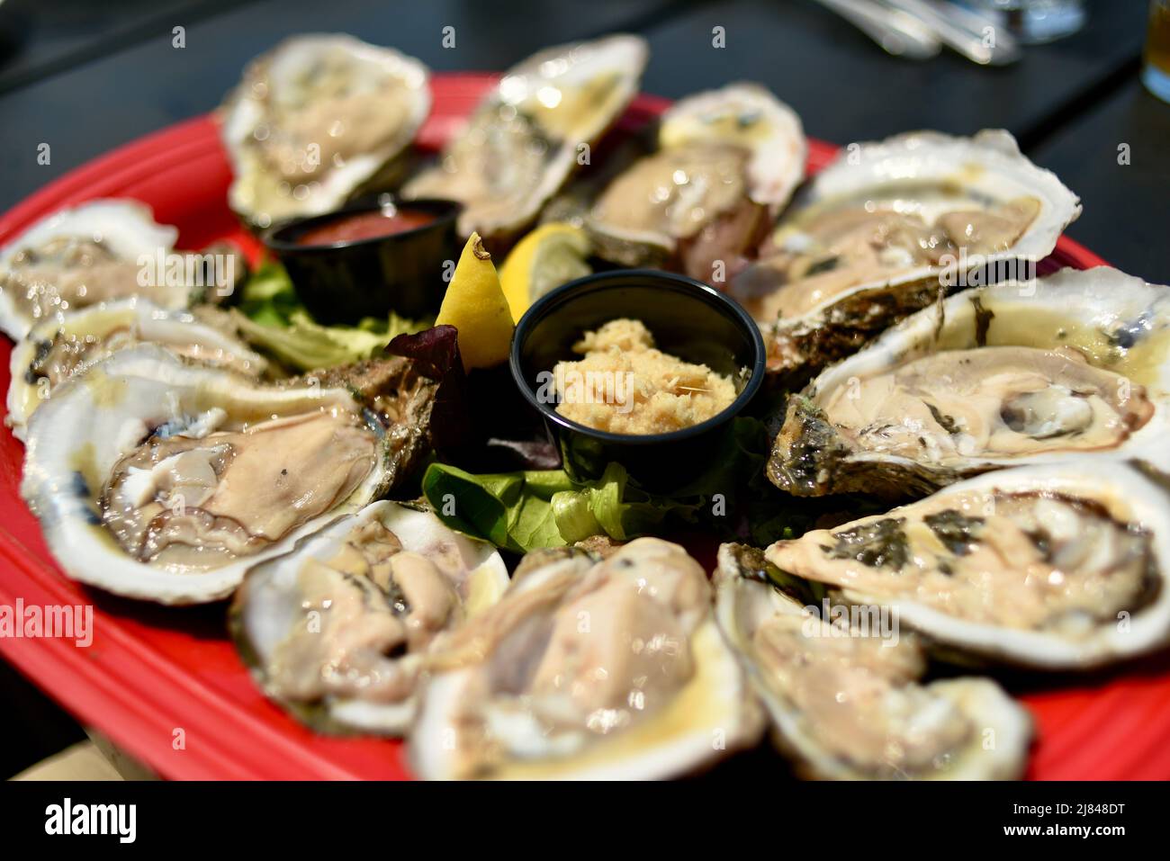 Fresh oysters on the half shell served at Ginny Lane Bar & Grill at the ...