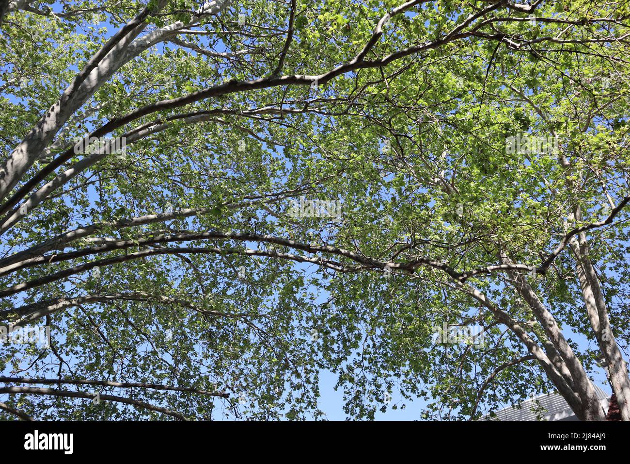 Spring colours hi-res stock photography and images - Alamy