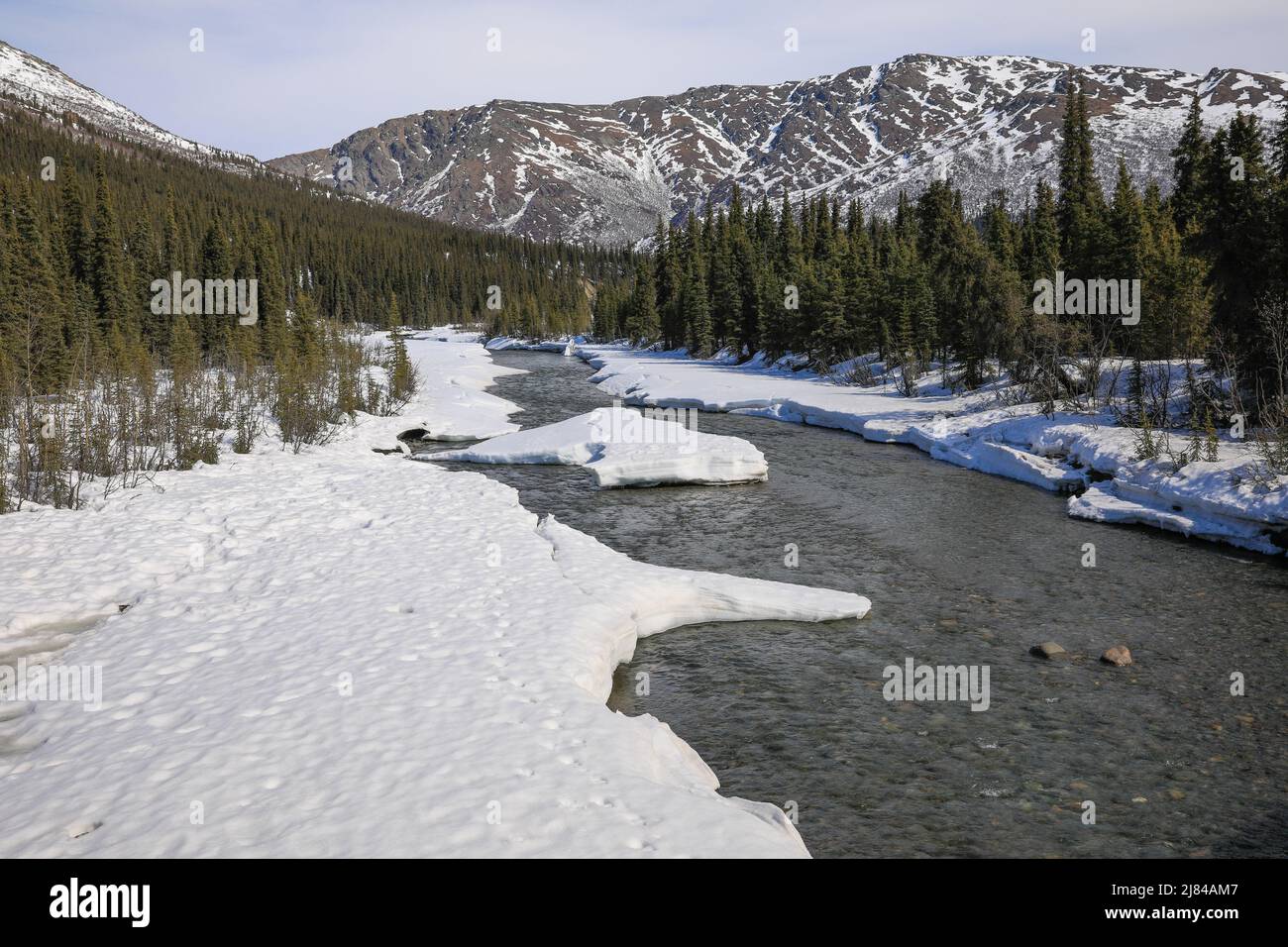 Frozen Winter Wilderness in Denali National Park Stock Photo - Alamy