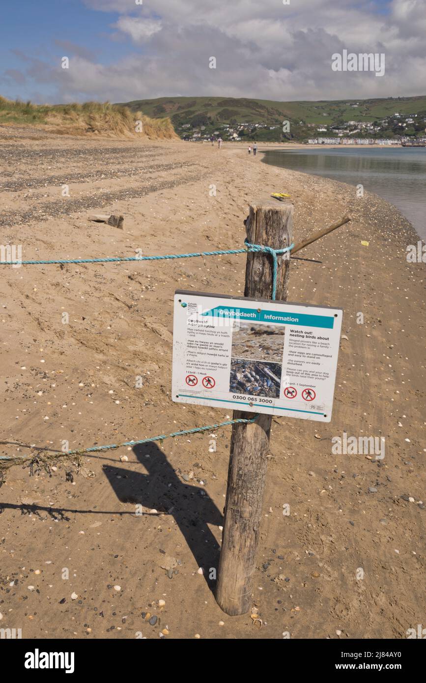 Bilingual Welsh/English sign by sand dunes at the beach in Ynyslas at ...