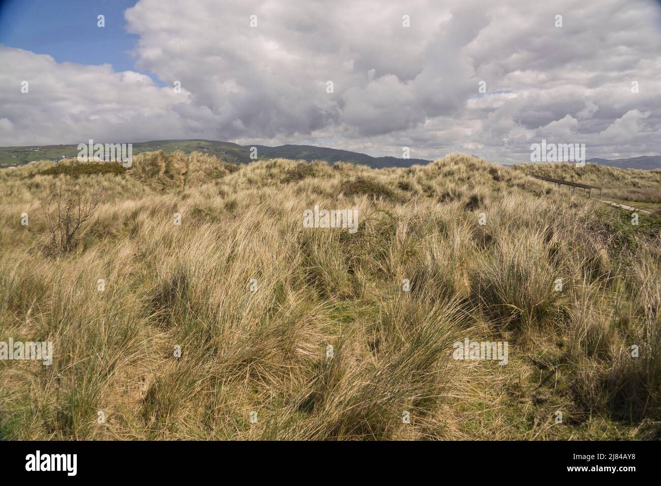 Ynyslas dyfi estuary hi-res stock photography and images - Alamy