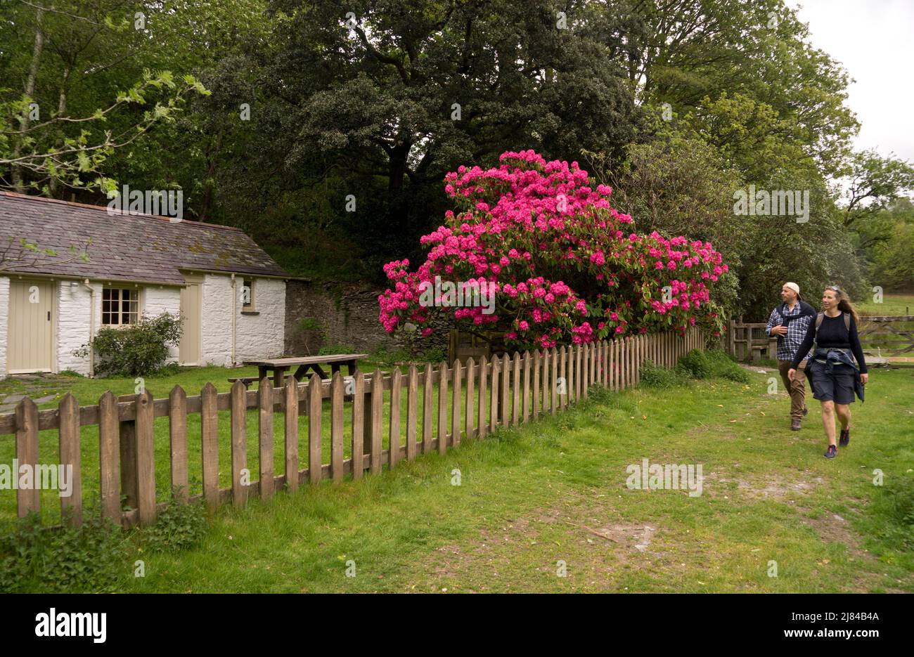 Ottages hi-res stock photography and images - Alamy