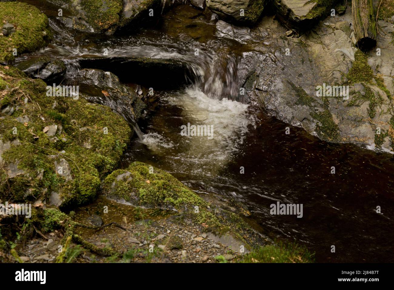 Waterfalls in Hafod Uchtryd wooded and landscaped estate, in the ...