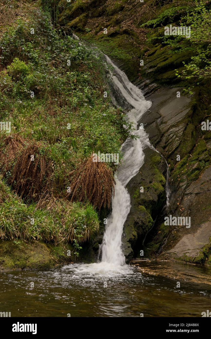 Waterfalls in Hafod Uchtryd wooded and landscaped estate, in the ...